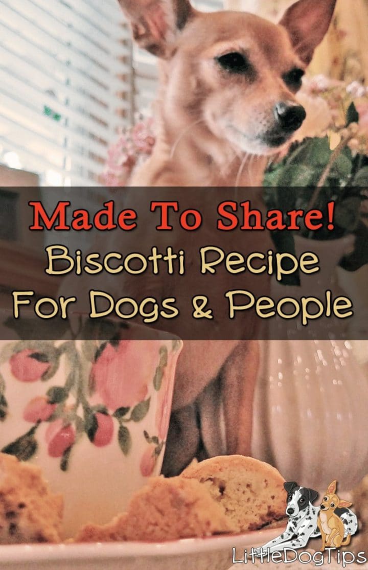 How To Make Calming Anise Biscotti (Barkscotti?) For Your Dog 🐾 Little ...